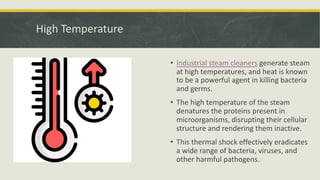 Killing Bacteria and Germs with Industrial Steam Cleaners | PDF