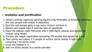 Bio fertilizer | PDF