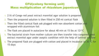 Bio fertilizer | PDF