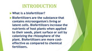 Bio fertilizer | PDF