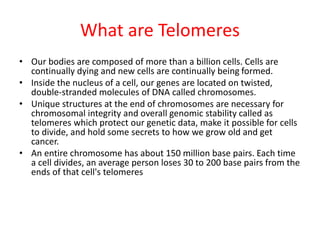 Presentation1.pptx | Biological Sciences | Science