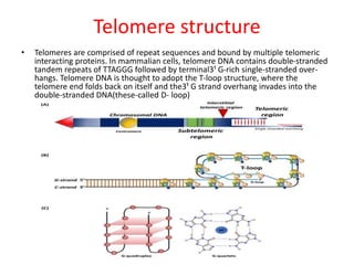 Presentation1.pptx | Biological Sciences | Science