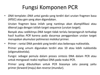 Presentation1.pptx