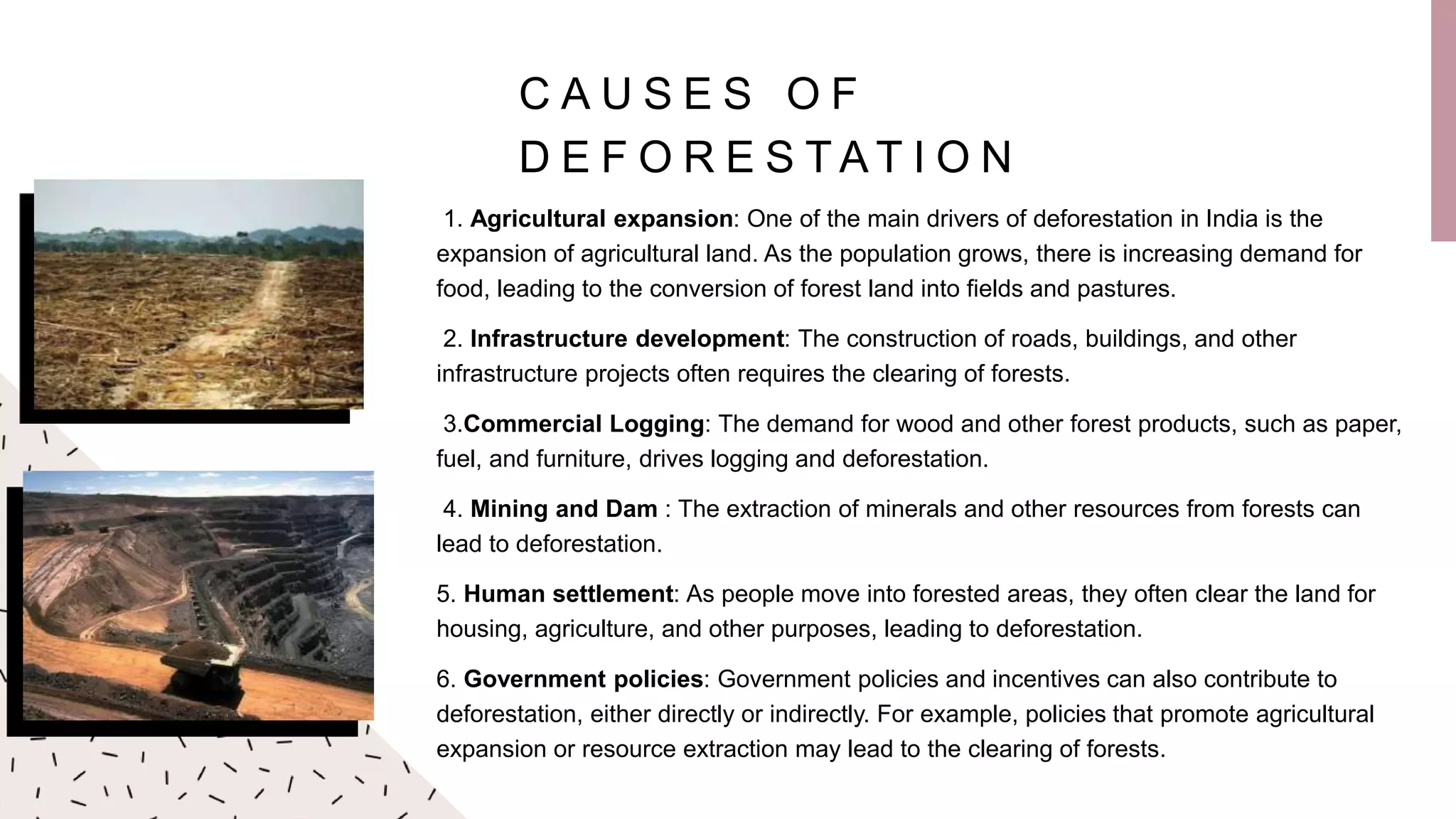 DEFORESTATION | PPTX | Agriculture | Industries
