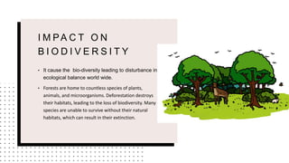 DEFORESTATION | PPTX | Agriculture | Industries