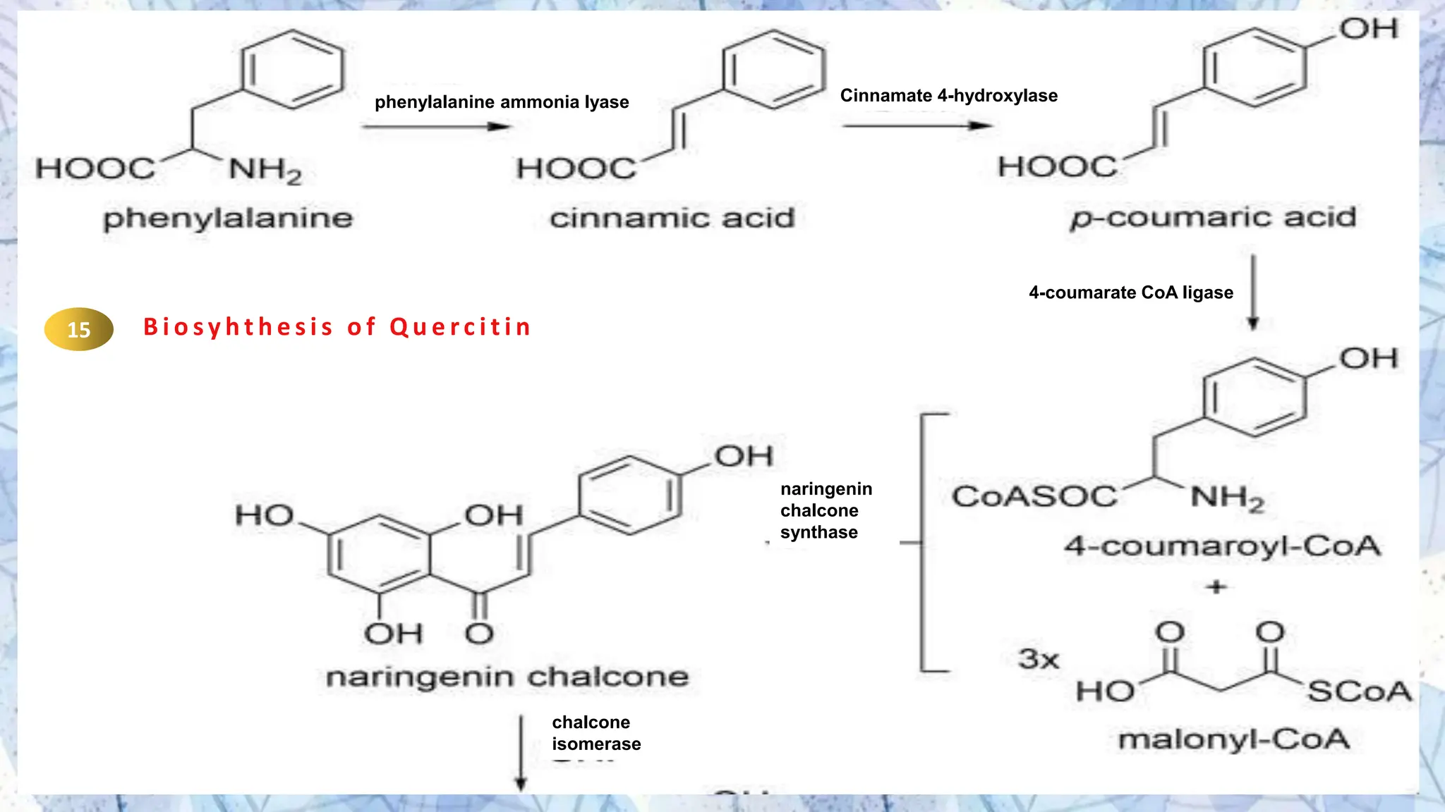 Biosynthesis of secondary metabolites | PPTX