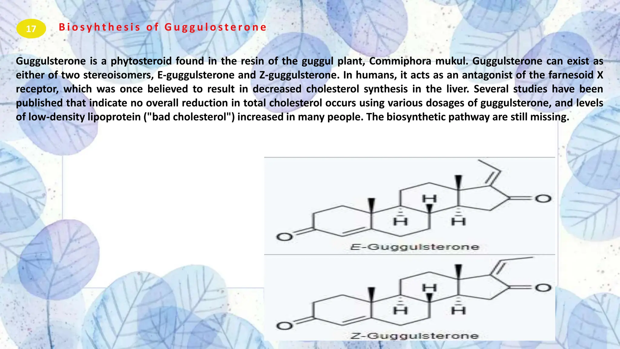 Biosynthesis of secondary metabolites | PPTX