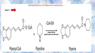 Biosynthesis of secondary metabolites | PPTX