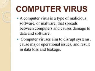 COMPUTER VIRUS.pptx | Antivirus Software | Computer Software and ...
