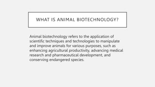 Presentation (1).pptx