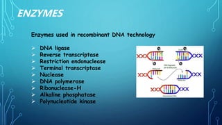 Principles of rDna technology | PPSX