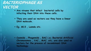 Principles of rDna technology | PPSX