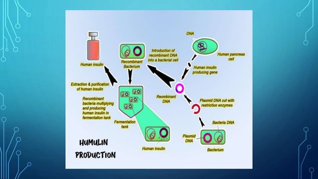 Principles of rDna technology | PPSX