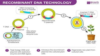 Principles of rDna technology | PPSX