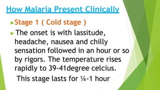 Presentation (1).pptx