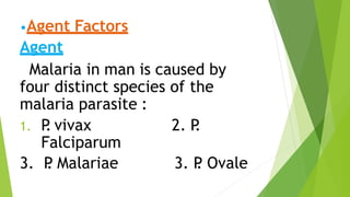 Presentation (1).pptx