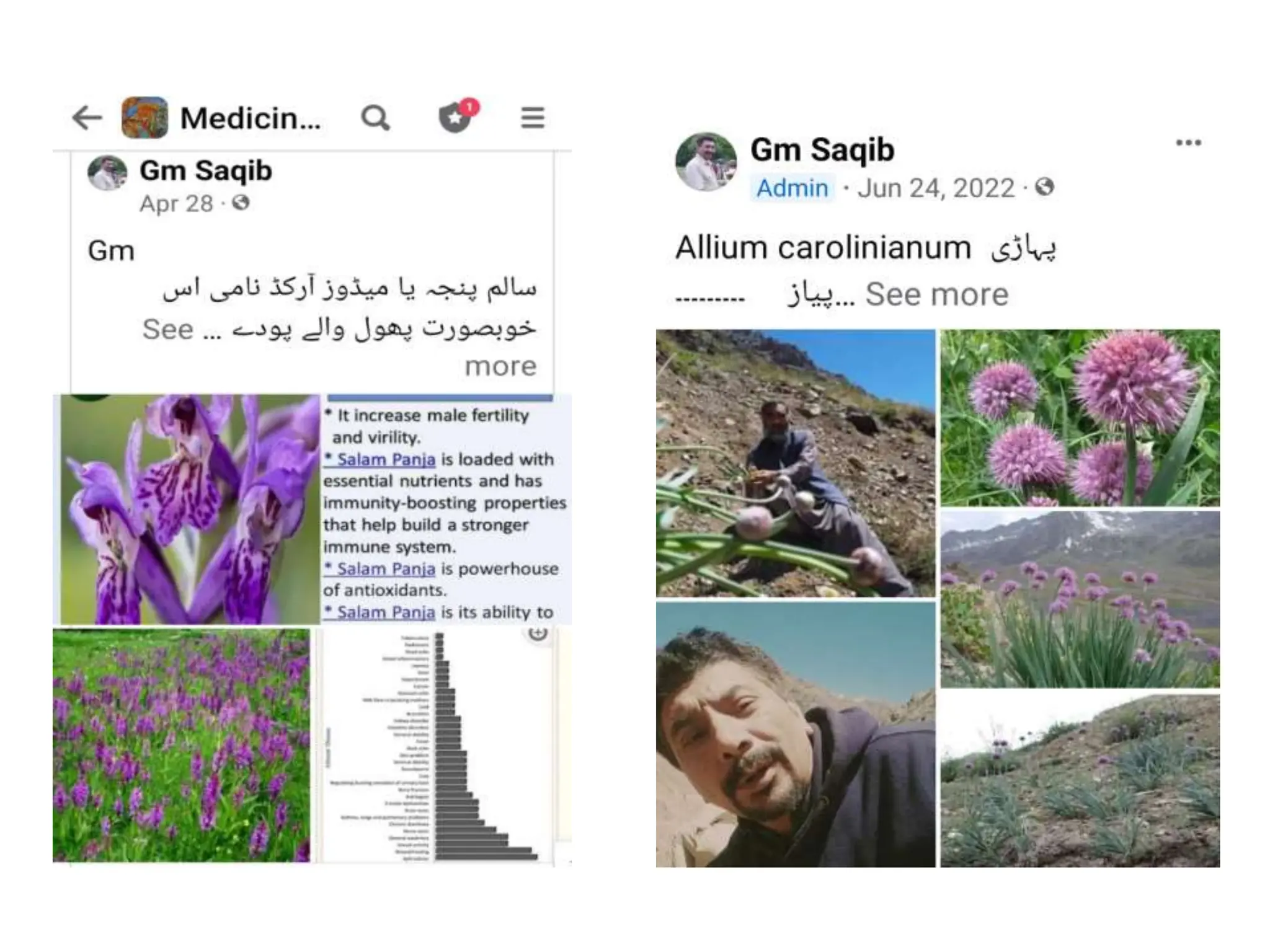 Presentation1.pptxNative Flora (NTFPs) of Gilgit Baltistan and Scope ...