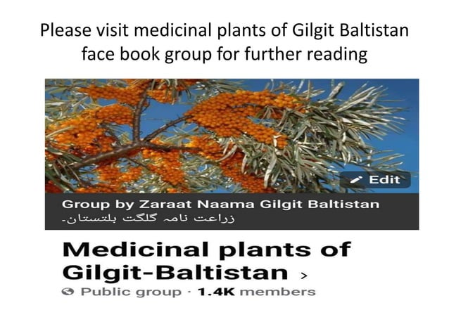 Presentation1.pptxNative Flora (NTFPs) of Gilgit Baltistan and Scope ...