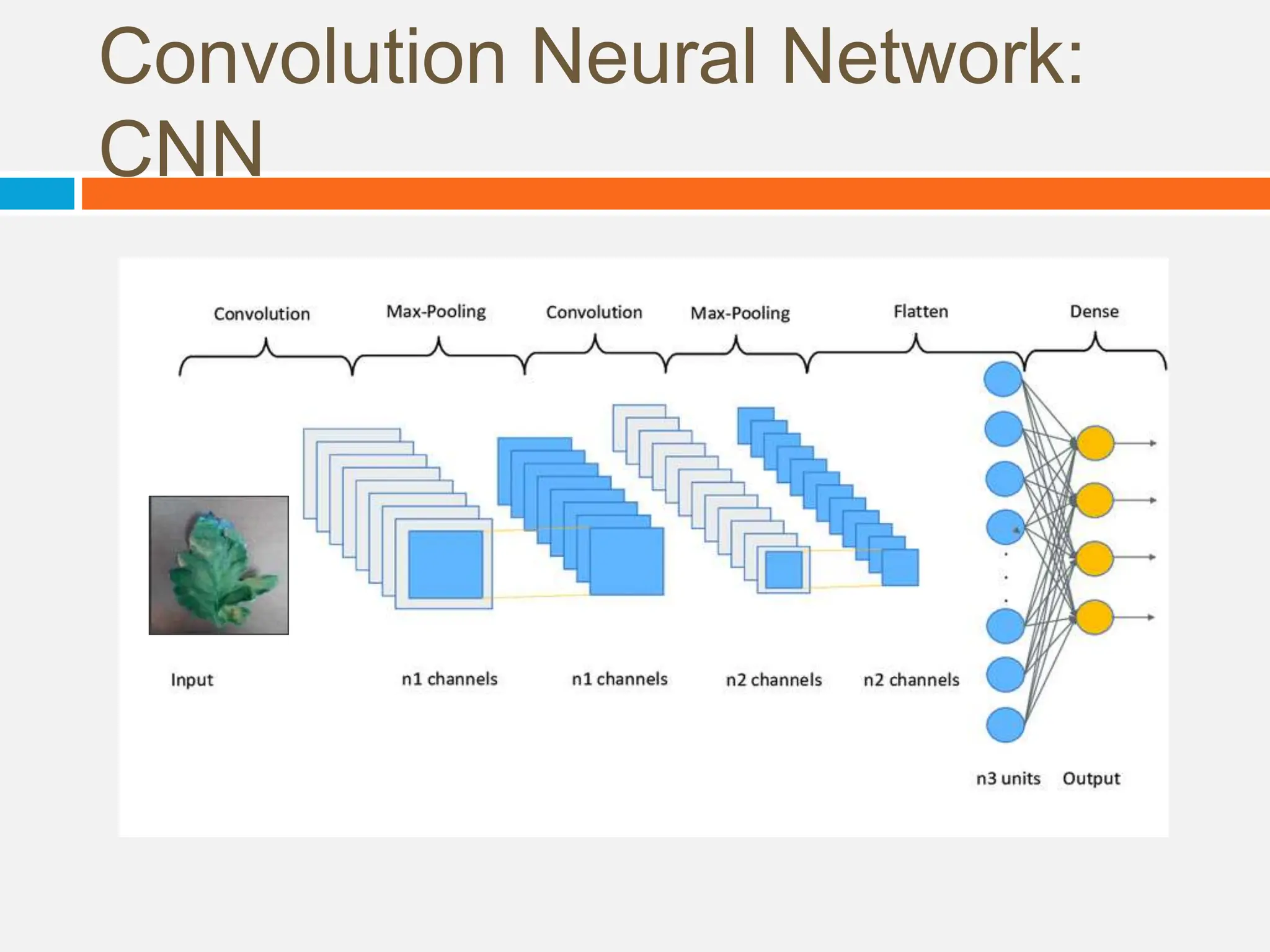 Plant Disease Detection Using Ml Pptx