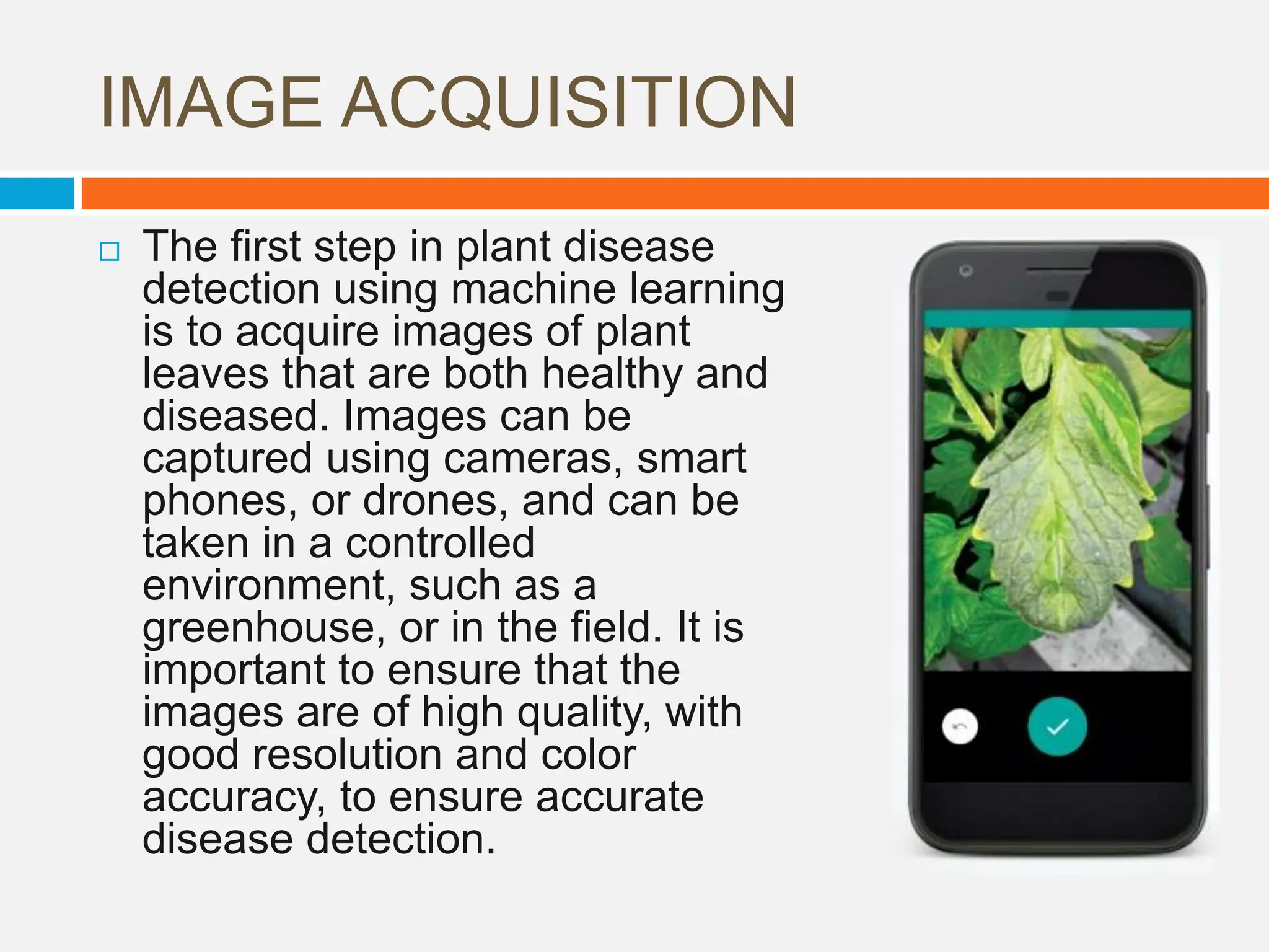 Plant Disease Detection Using ML.pptx