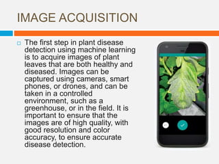 Plant Disease Detection Using ML.pptx