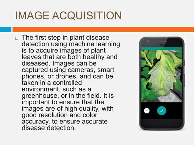 Plant Disease Detection Using ML.pptx