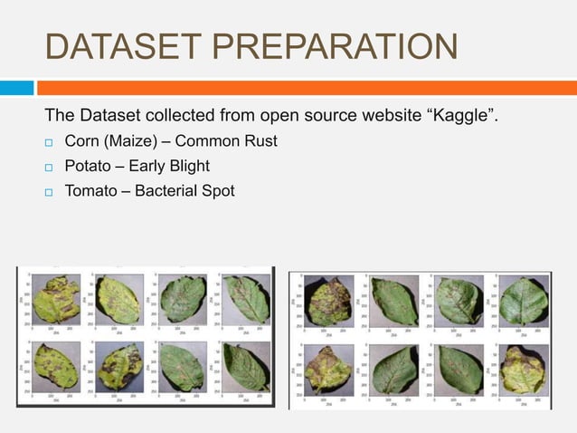 Plant Disease Detection Using ML.pptx