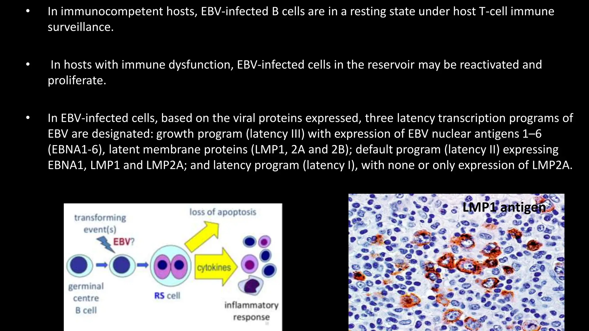 ROUND CELL TUMOR.pptx