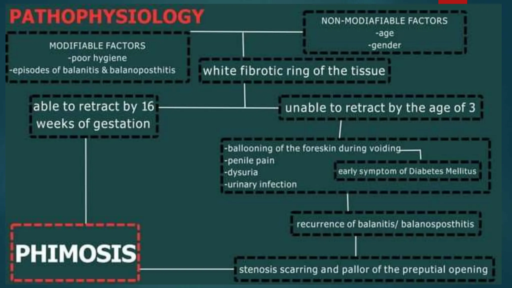 Phimosis and Paraphimosis Surgery Presentation.pptx