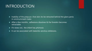 Phimosis and Paraphimosis Surgery Presentation.pptx