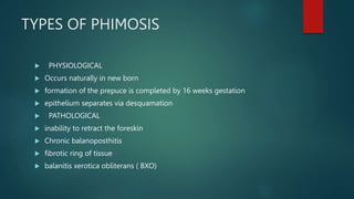 Phimosis and Paraphimosis Surgery Presentation.pptx