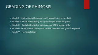 Phimosis and Paraphimosis Surgery Presentation.pptx