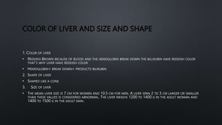 Liver SlideShare ppt | PPT