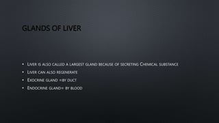 Liver SlideShare ppt | PPTX