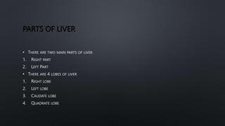 Liver SlideShare ppt | PPTX