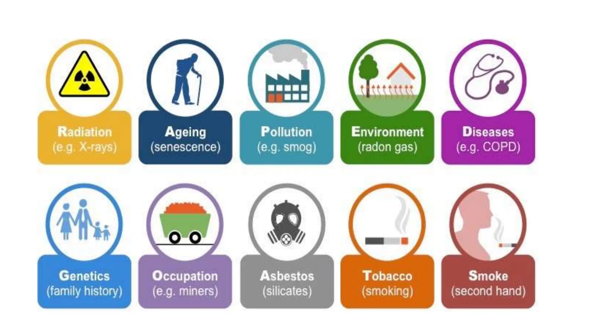 Lungs Cancer etiology sign symtom causes.pptx | Lung and Respiratory ...