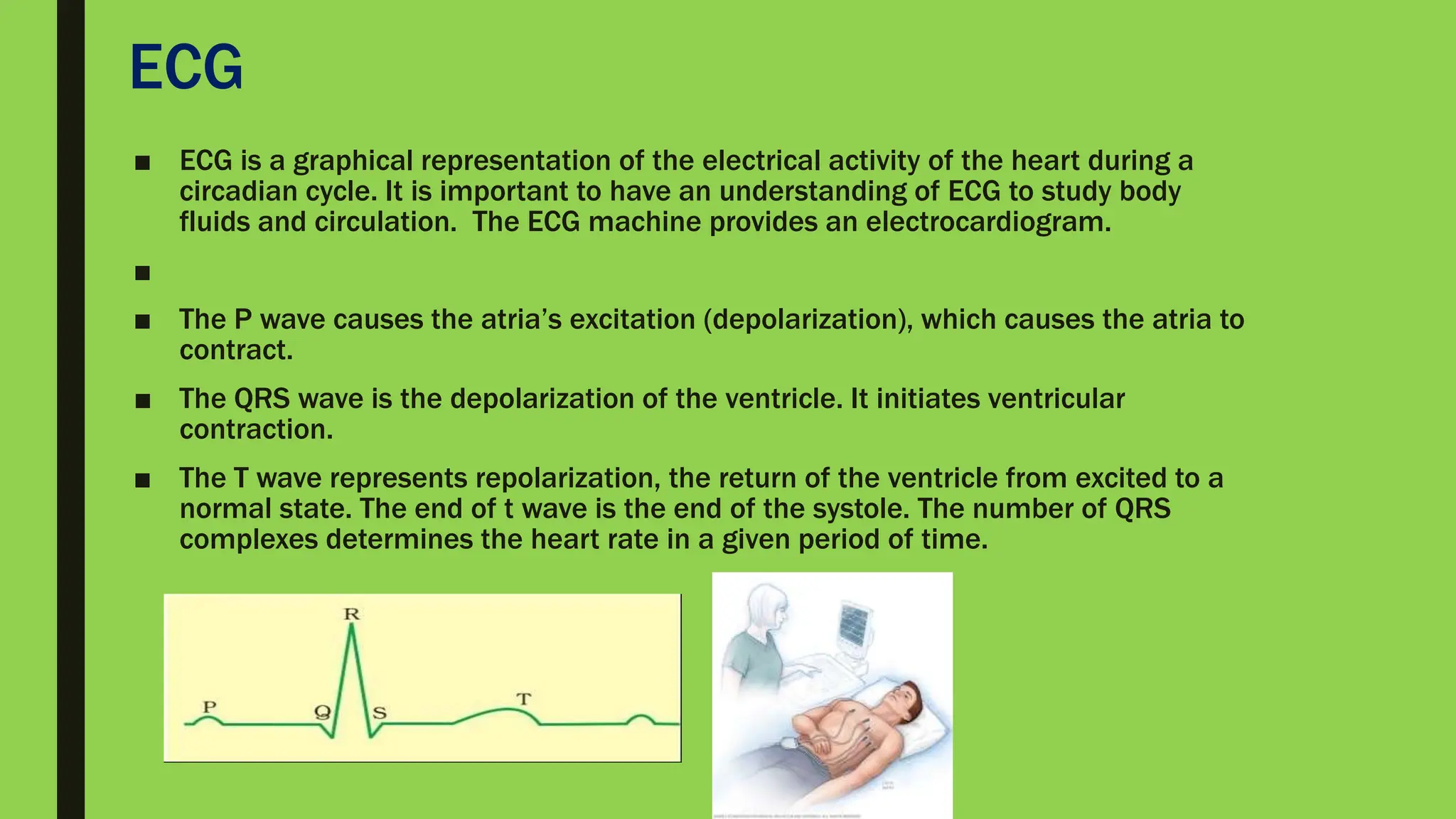 Class 11 project biology prect topic body fluid and circulation | PPTX