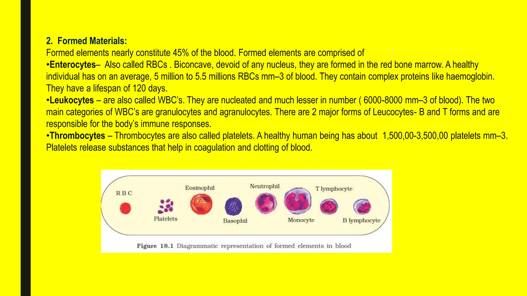 Class 11 project biology prect topic body fluid and circulation | PPTX