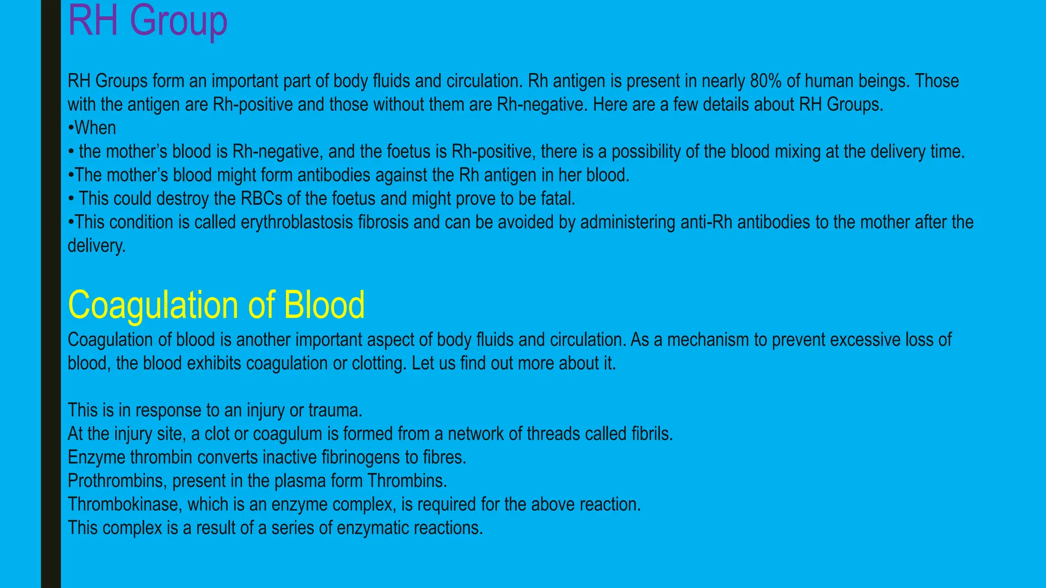 Class 11 project biology prect topic body fluid and circulation | PPTX