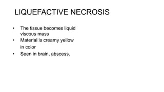 Presentation1 powerpoint necrosis form of cell death | PPTX | Diseases ...