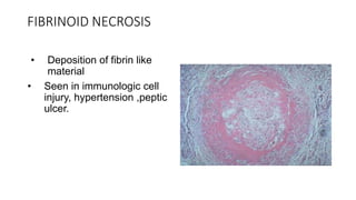 Presentation1 powerpoint necrosis form of cell death | PPTX | Diseases ...