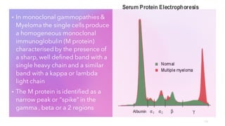 MULTIPLE MYELOMA (MM) SLIDESHARE PRESENTATION | PDF