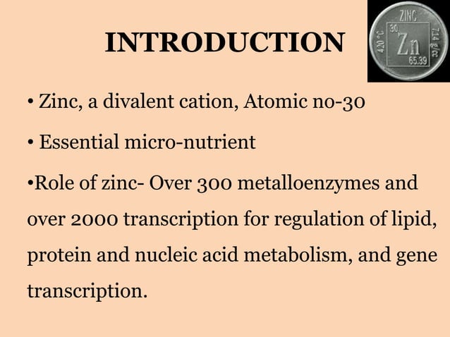 presentamjgfj hgydtrg gffdf gftion1-.pdf