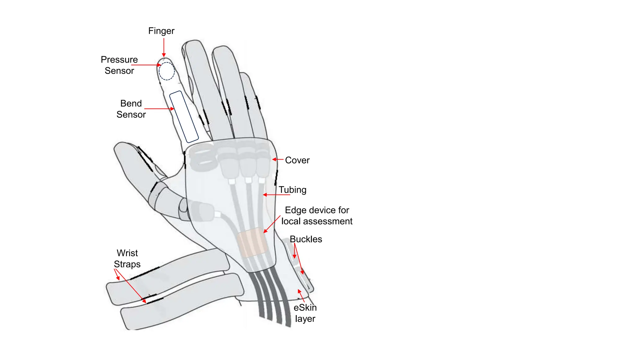 Anatomy of human hand with sensors placed | PPTX