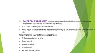 Presentation (1).pptx