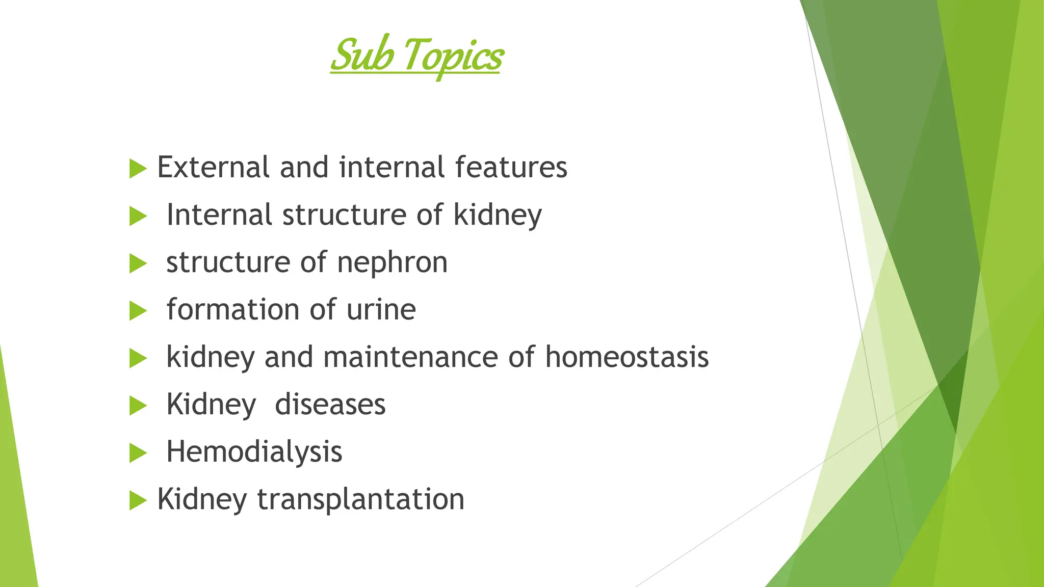 kidney and its functions kidney diseases | PPTX
