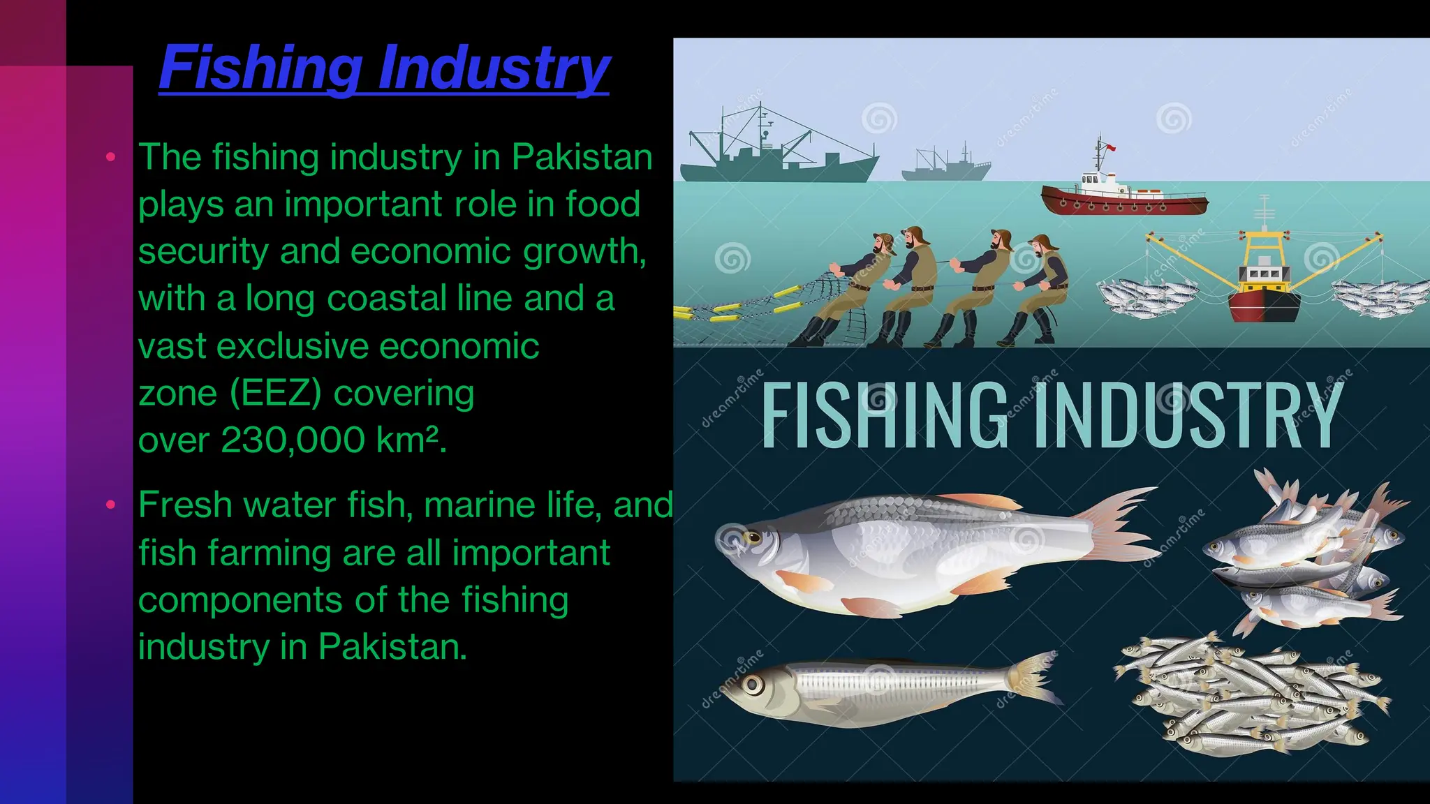 Fishing Industry and Marine Life Importance and Ports. | PDF