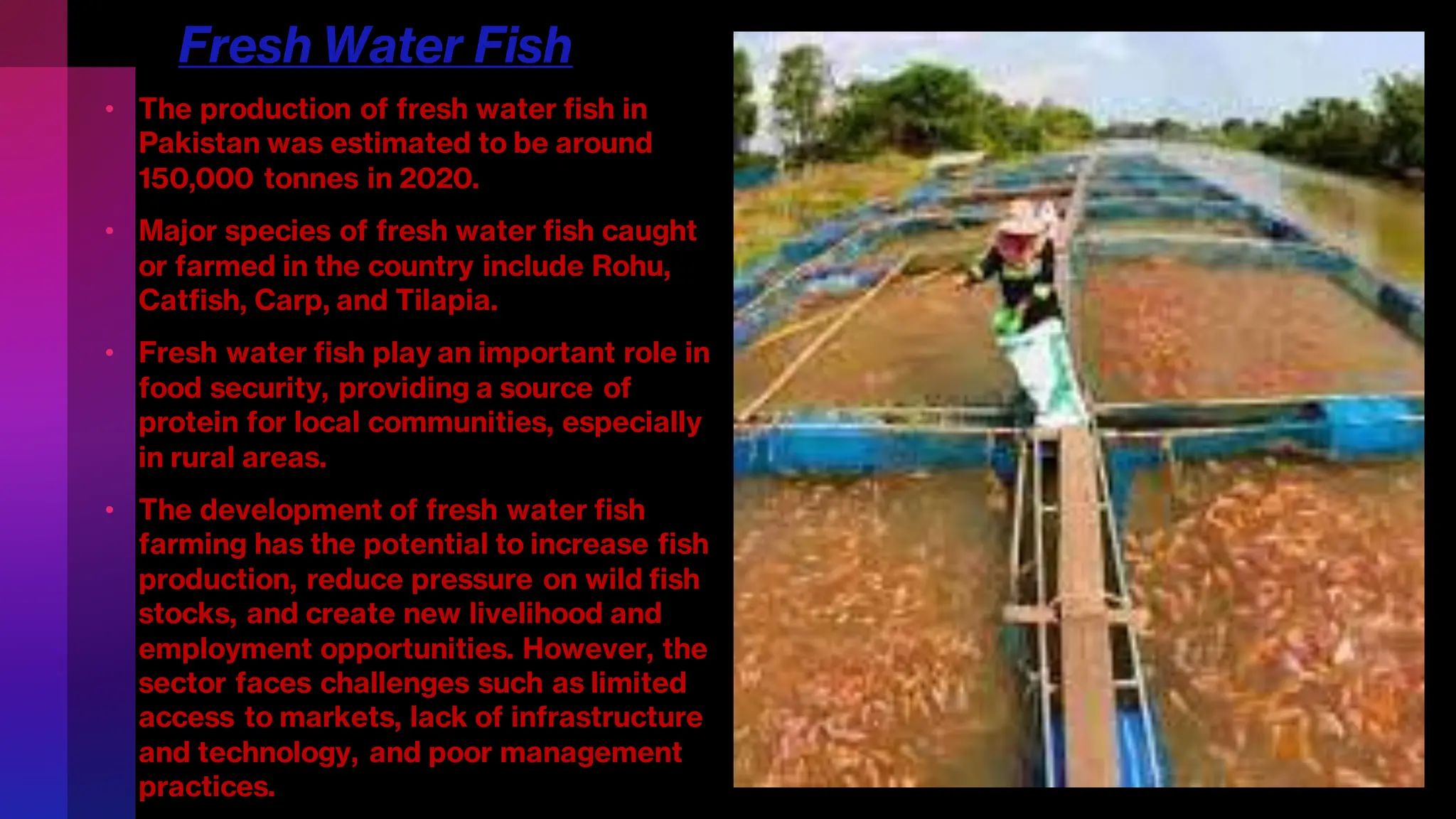 Fishing Industry and Marine Life Importance and Ports. | PDF