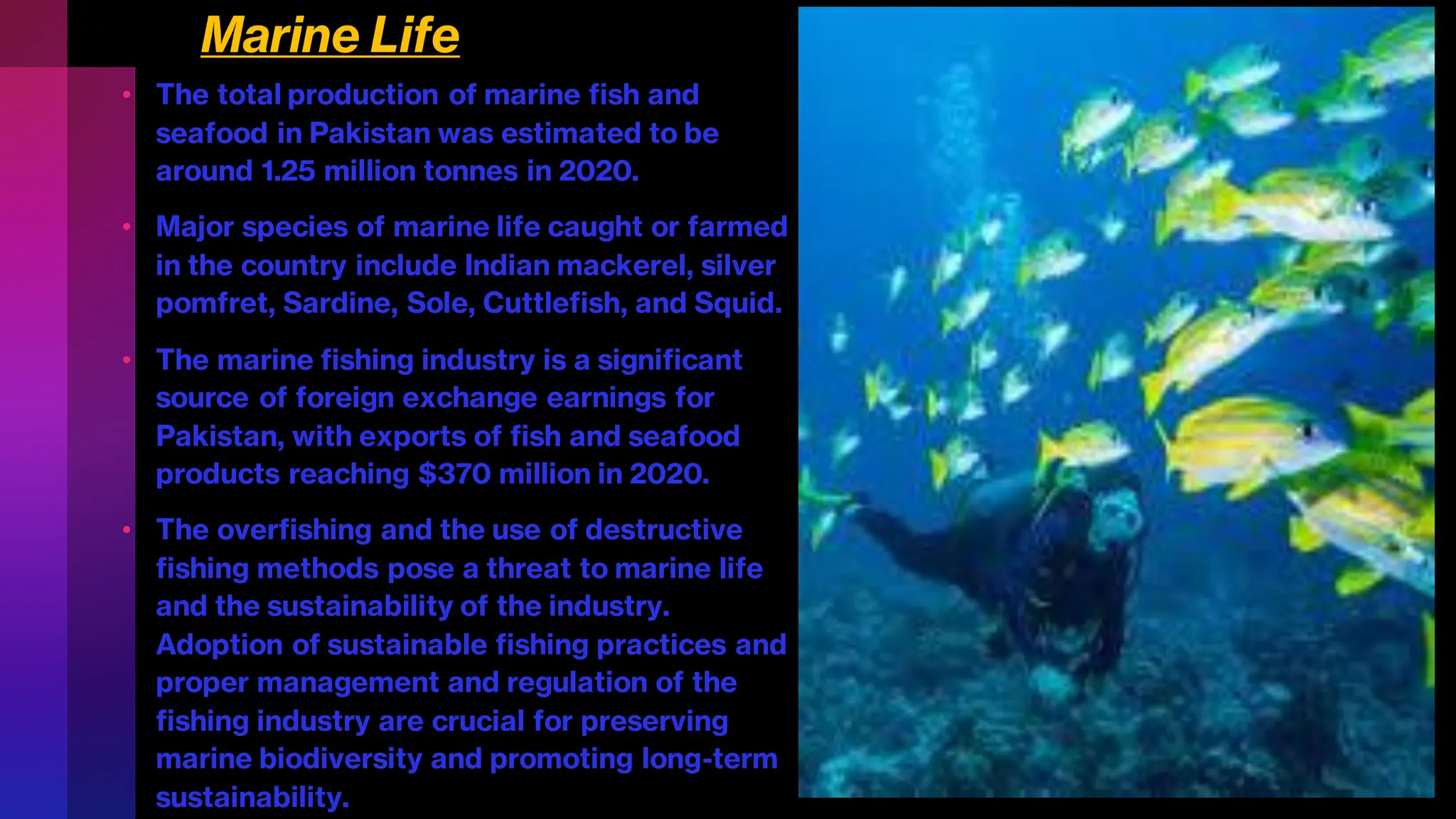 Fishing Industry and Marine Life Importance and Ports. | PDF