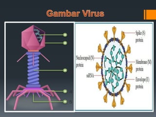 PPT BIOLOGI ASAL, BENTUK DAN STRUKTUR VIRUS | PPTX